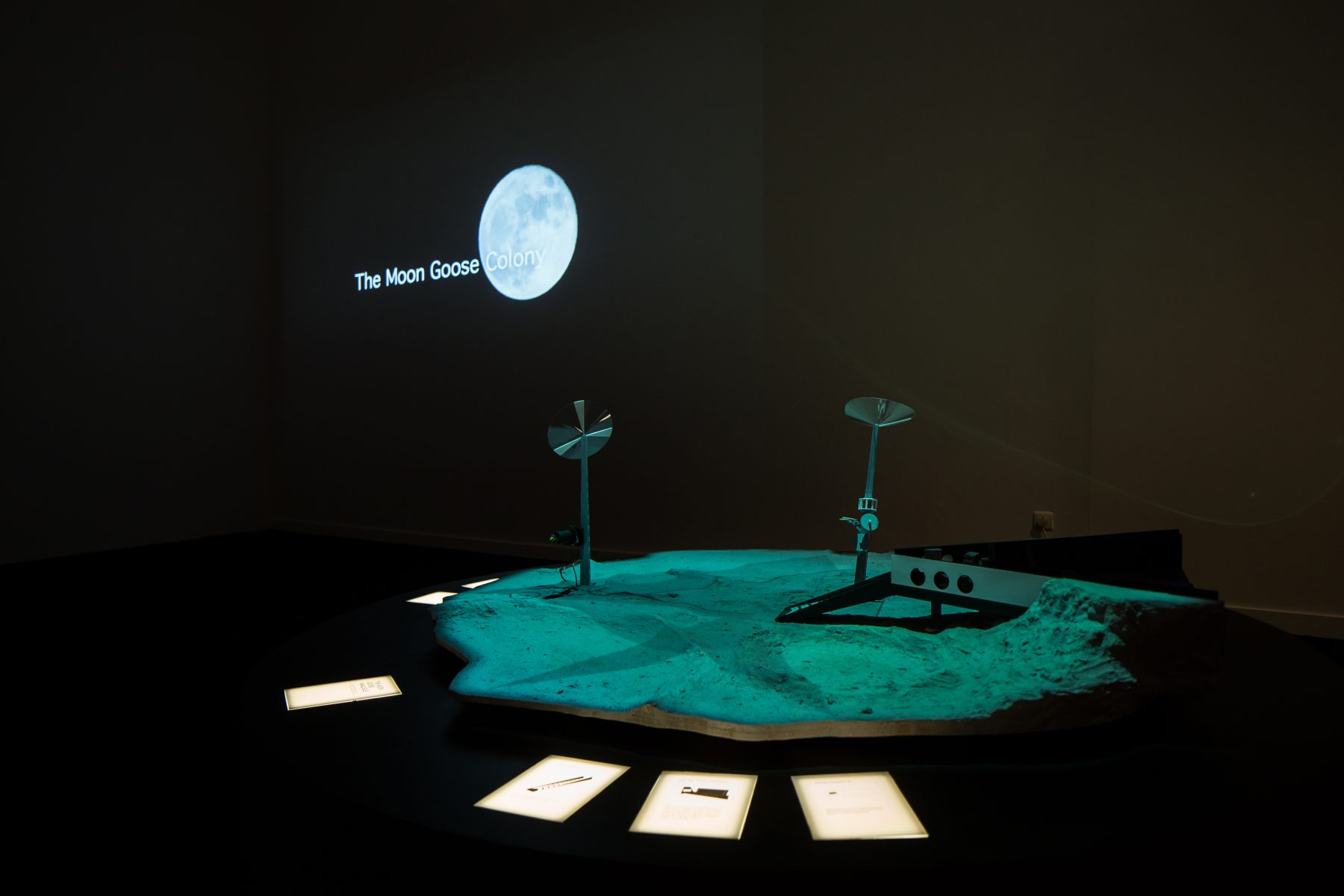 〈月鵝殖民地〉（Moon Goose Colony） – Bioart Database